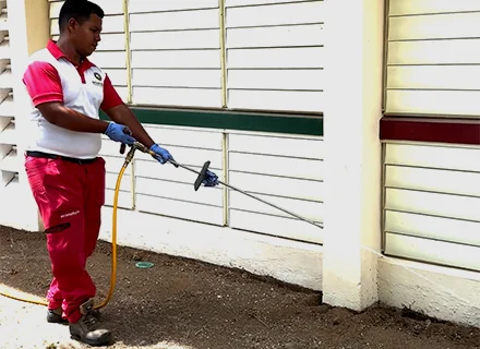 Termite Control Experts | Termite Management